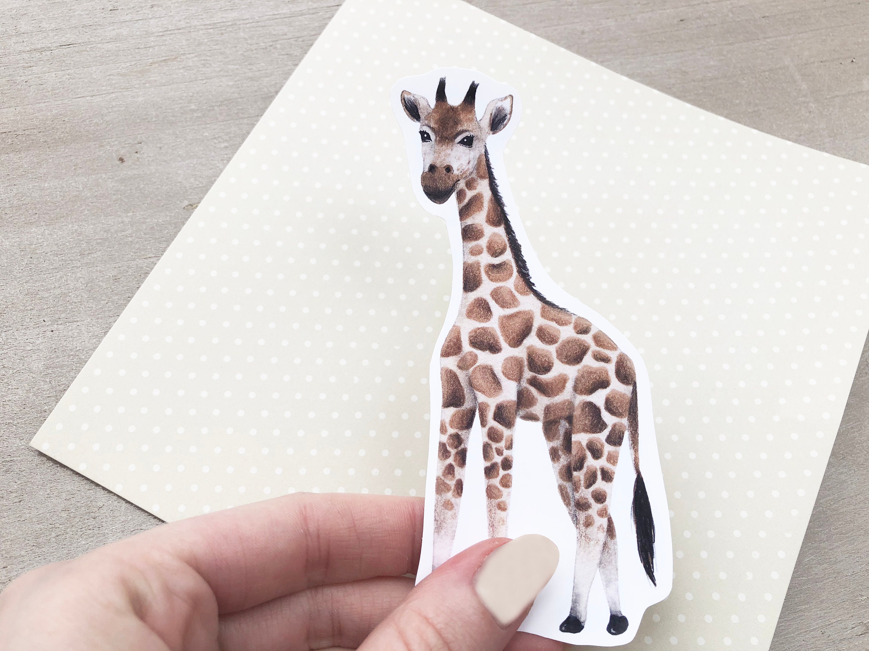 Safari Animal Sticker Set of 5 Illustrated Stickers | Etsy