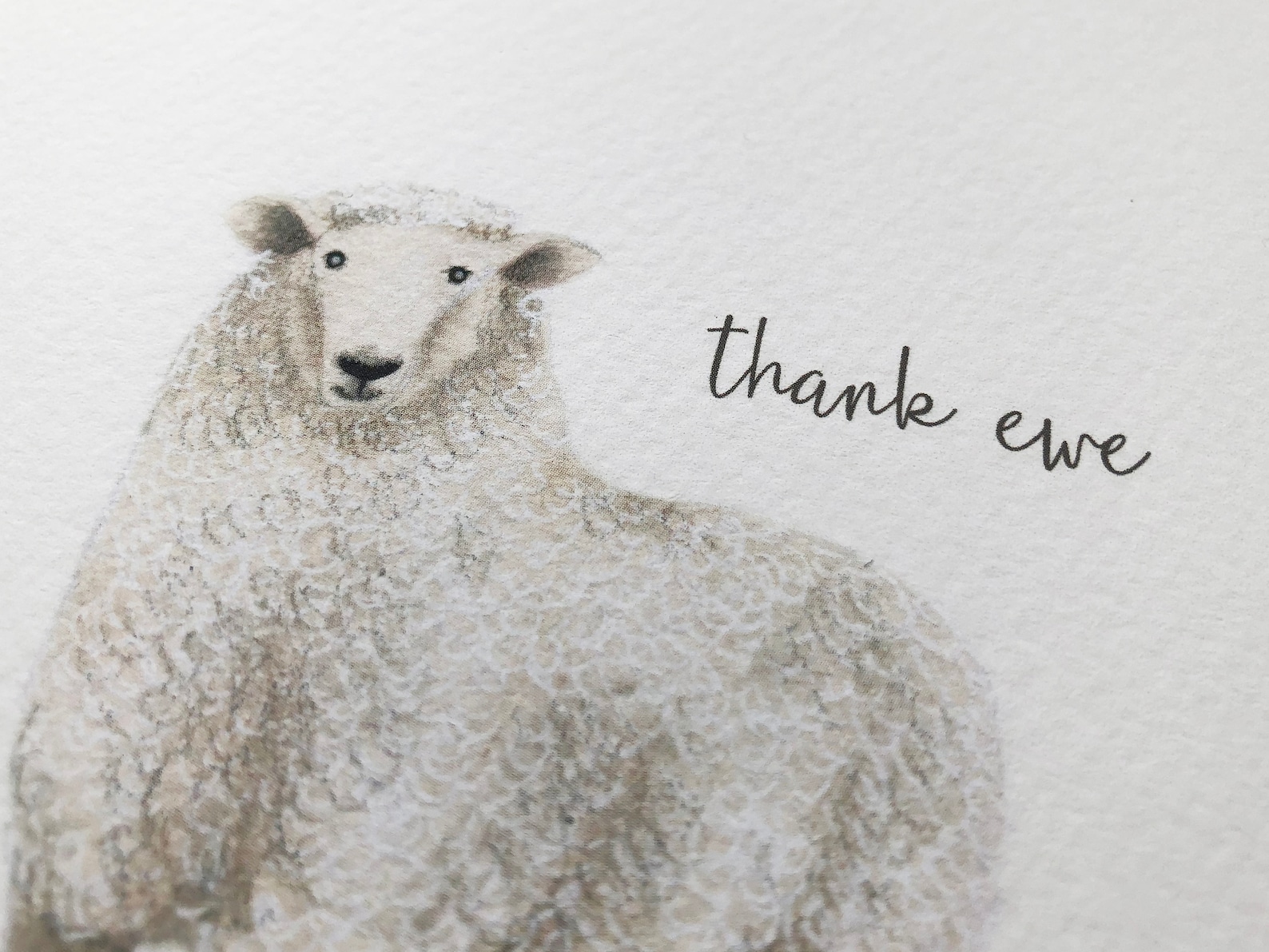 Sheep Thank You Card Illustrated Greetings Cards Blank - Etsy