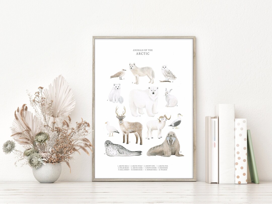 A3 Arctic Animals Wall Art Print Polar Bear Seal Fox North Pole Winter ...