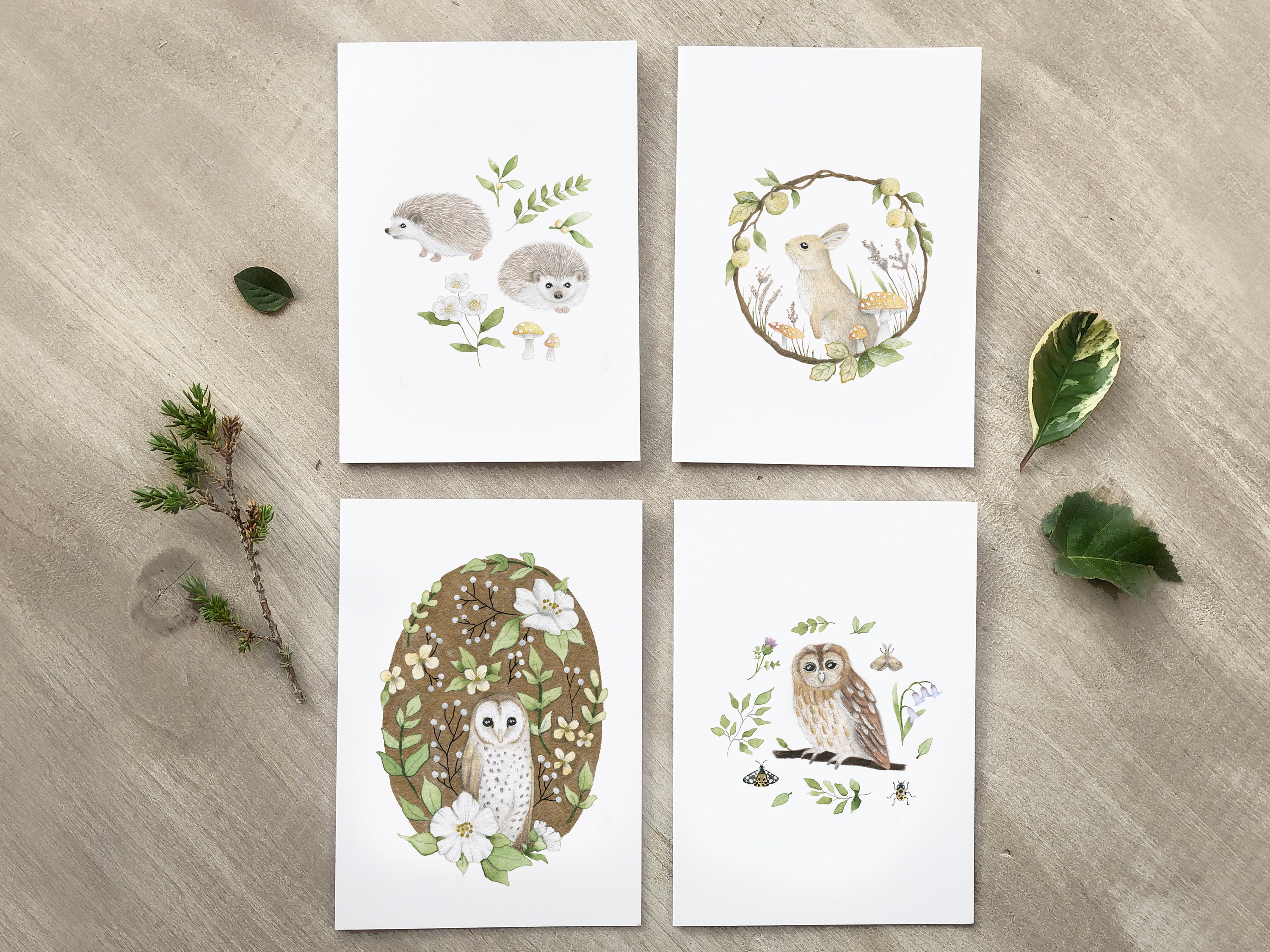 Woodland Animals Card Set Forest Greetings Card Barn Owl - Etsy UK