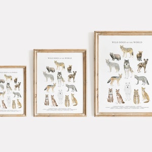 A3 Dogs of the World Wall Art Poster Print Natural History Wall Chart ...