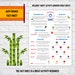 AAPI Heritage Month Printable Activity, AAPI Printable Word Search ...