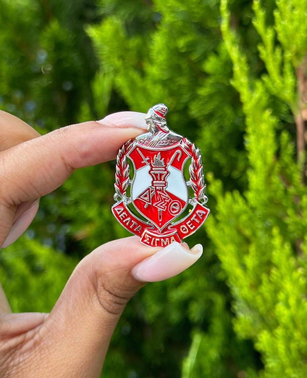DST Emblem Lapel Pin - Etsy