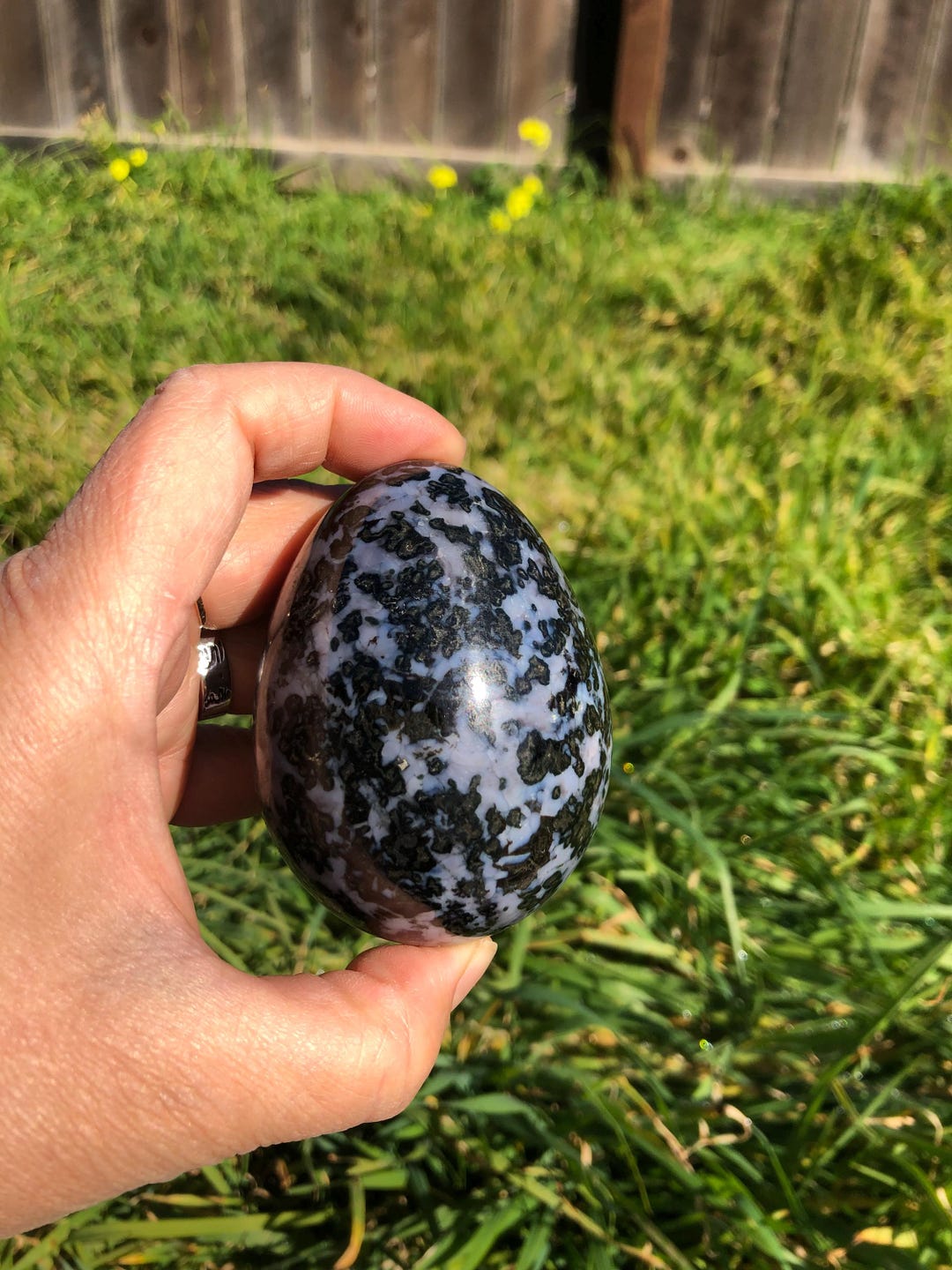 Blizzard Stone Egg: Gabbro Crystal Carving, Madagascar - Etsy