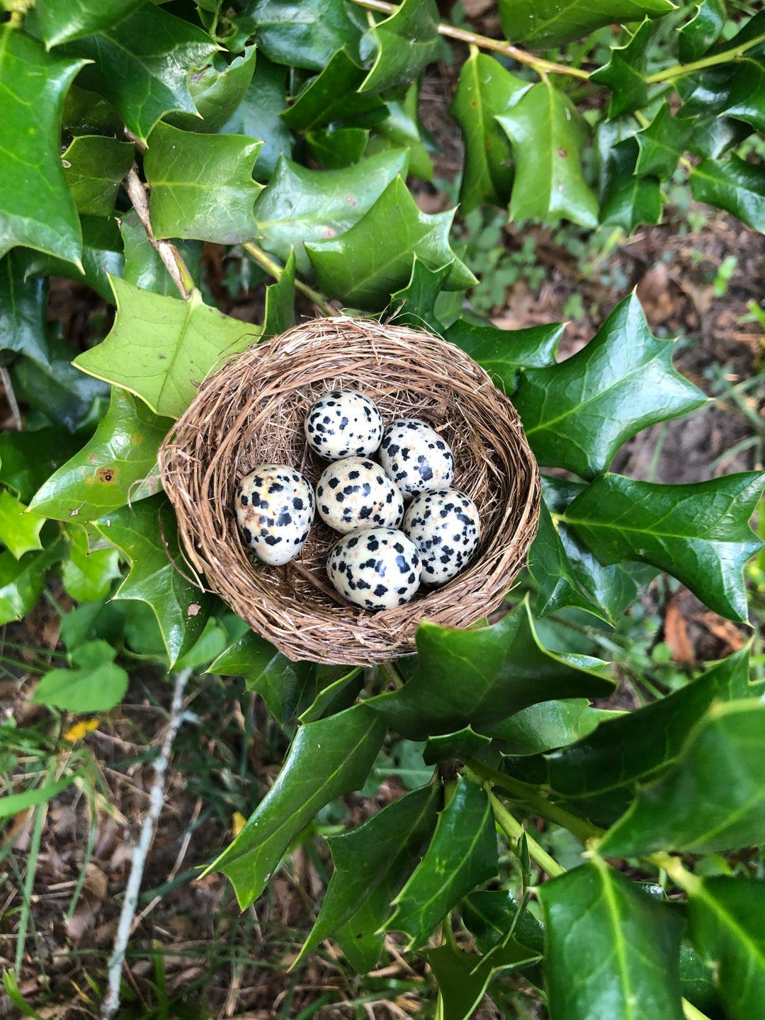 Dalmatian Mini Crystal Egg Healing Stone Reiki Eggs Easter Eggs Style ...