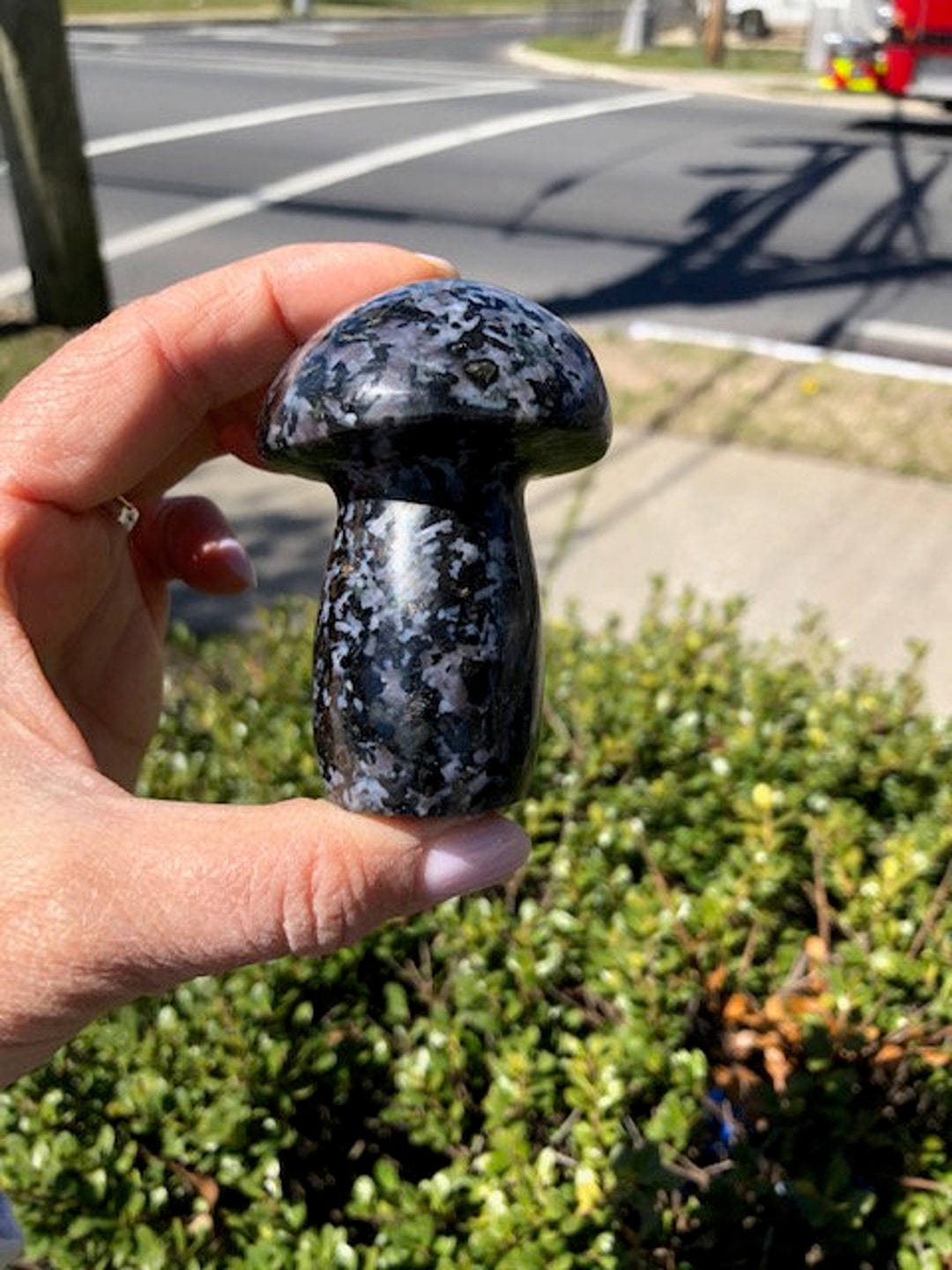 Blizzard Stone Mushroom Gabbro Crystal Natural Quartz Carving Crystal ...