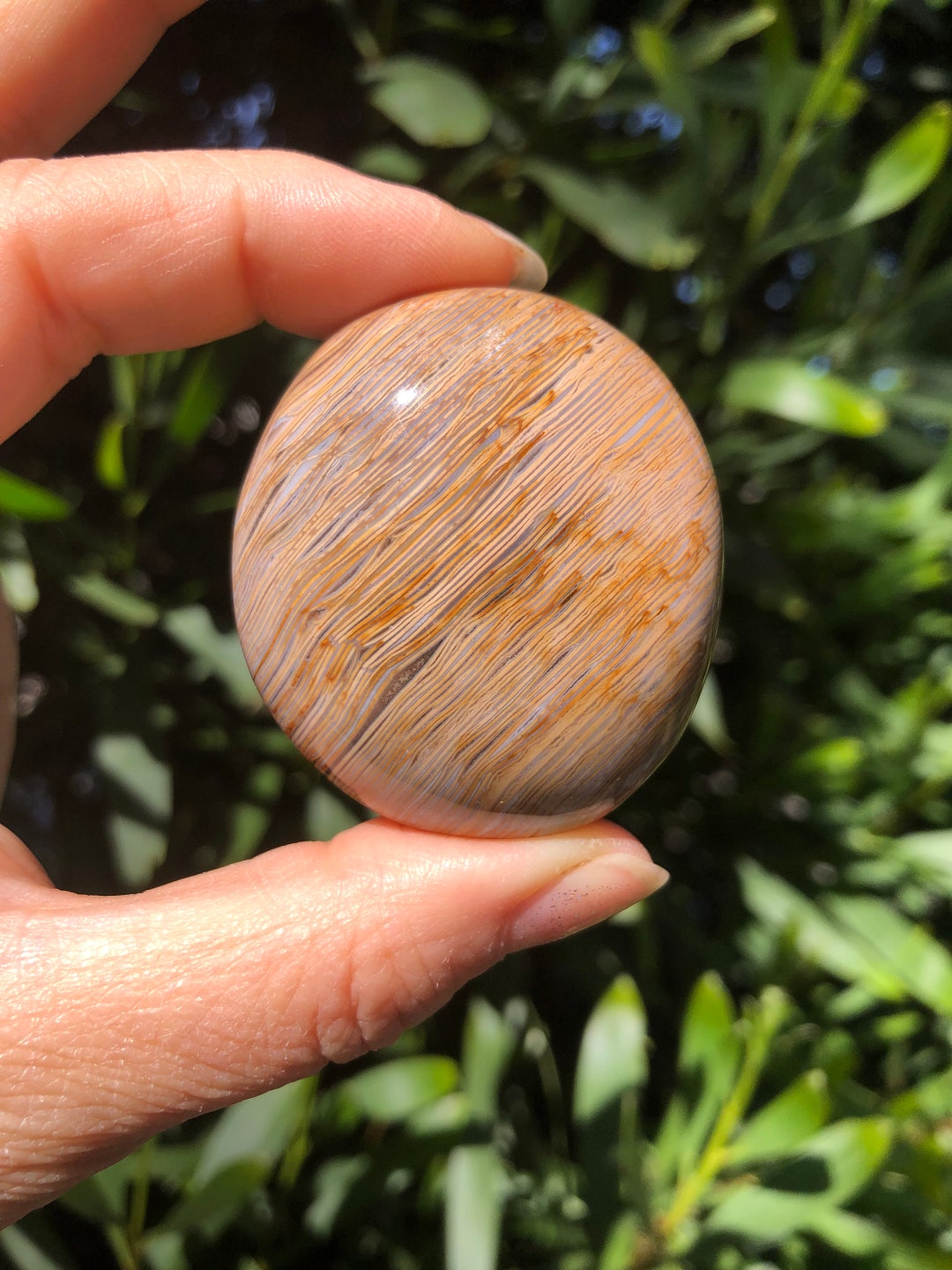 Ibis Jasper Palm Stone Polished Gemstone Pocket Stone From Madagascar Root Chakra Gift Idea ...