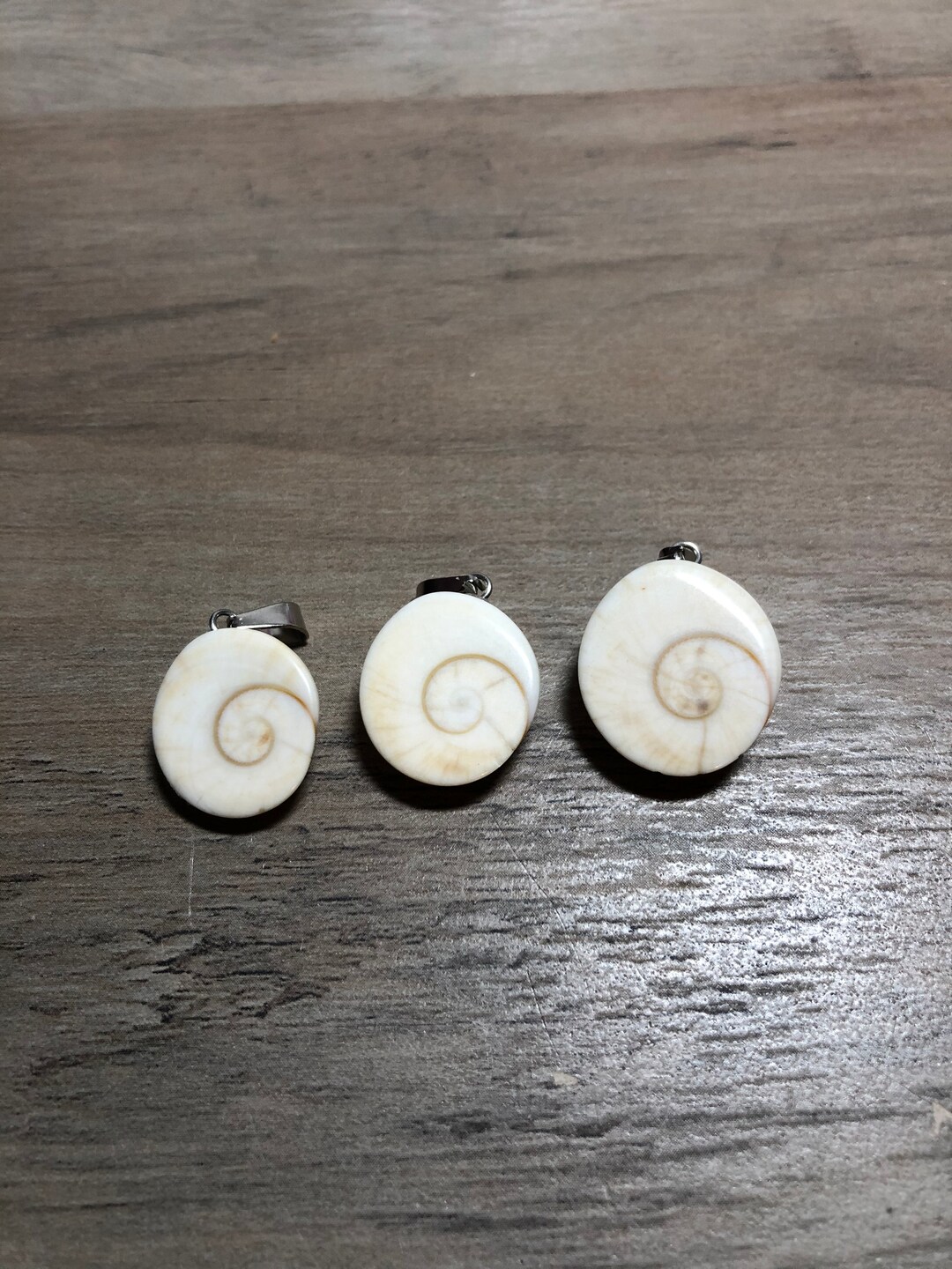 3 Size Shiva Eye Shell Shiva Eye Gemstone Oval Shape Shell Operculum ...