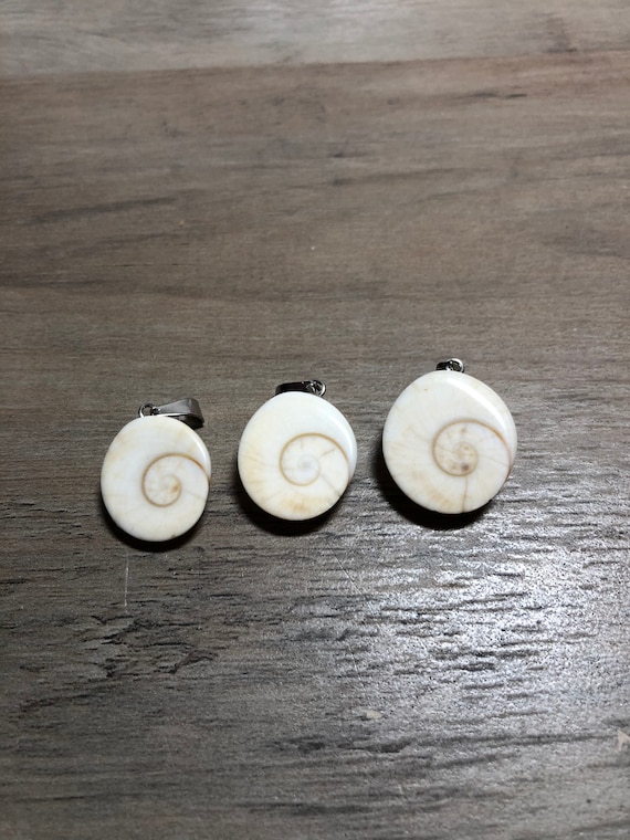 3 Size Shiva Eye Shell Shiva Eye Gemstone Oval Shape Shell | Etsy