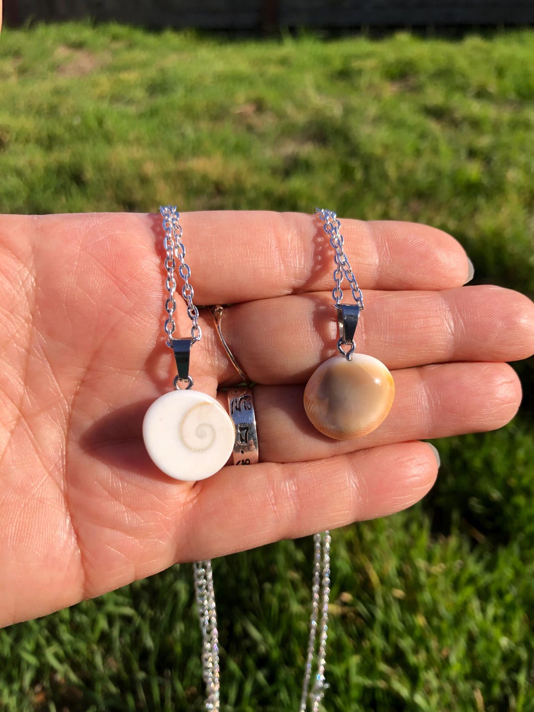 Shiva Eye Shell Shiva Eye Gemstone Oval Shape Shell Operculum Gastropod ...