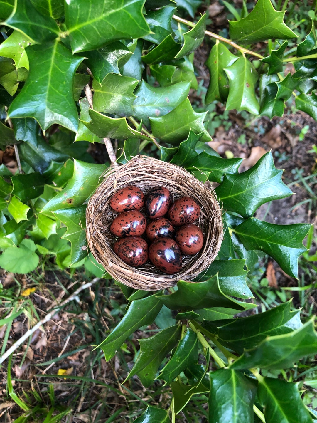 Mini Crystal Egg Healing Stone Reiki Eggs Easter Eggs Style Egg Nest ...