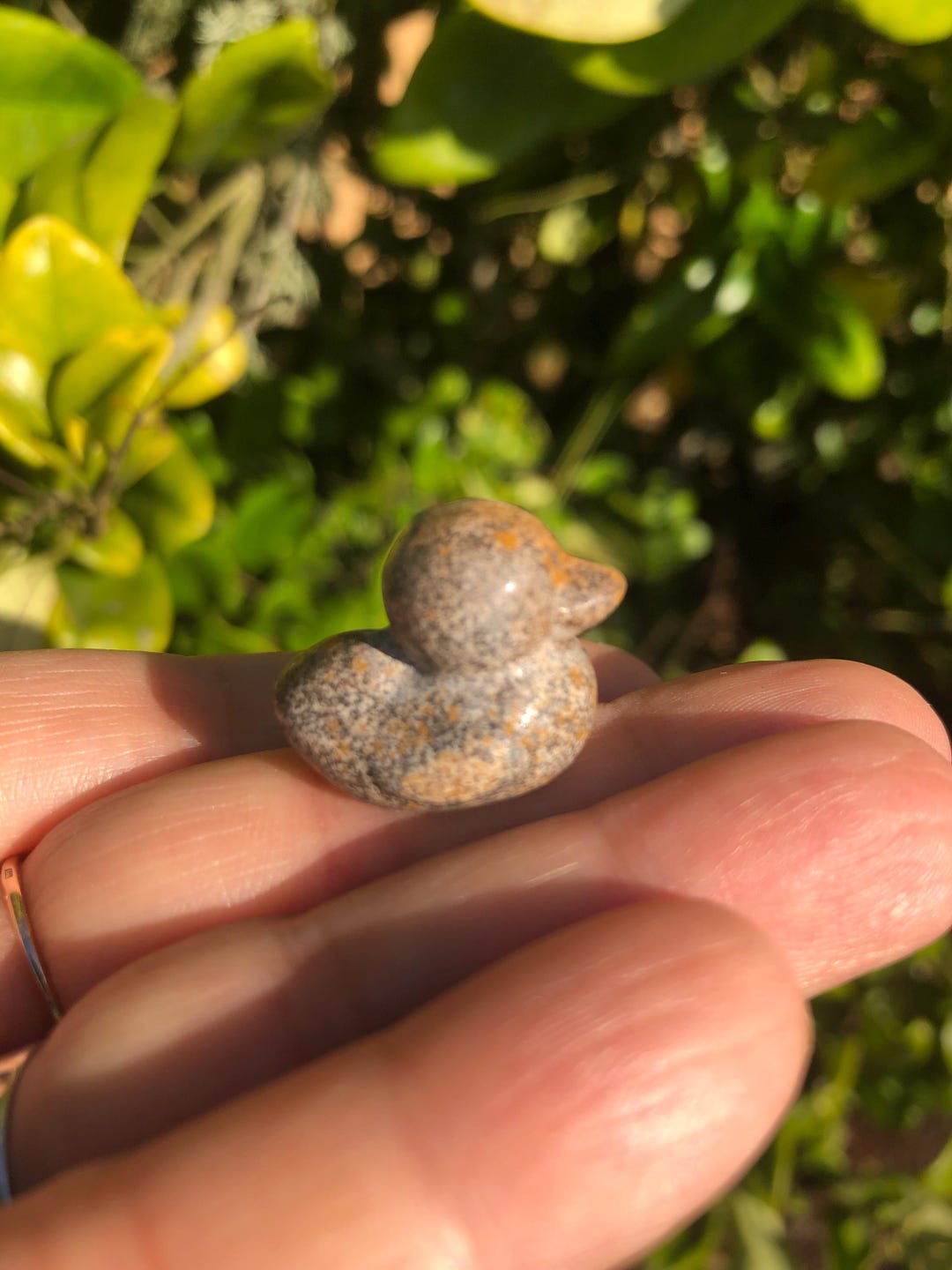 Hand Carved Picture Jasper Duck Figurine, Natural Stone Animal Totem - Etsy