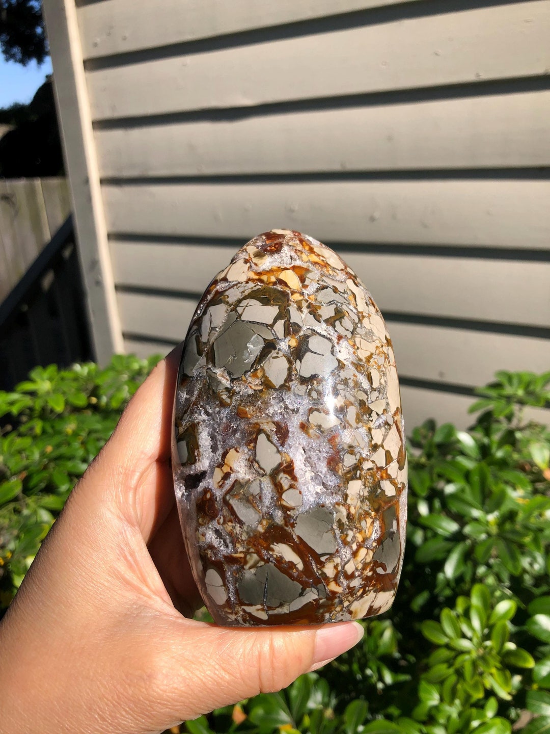 Ibis Jasper Free Form Crystal Gemstone Brecciated Jasper Natural Ibis ...