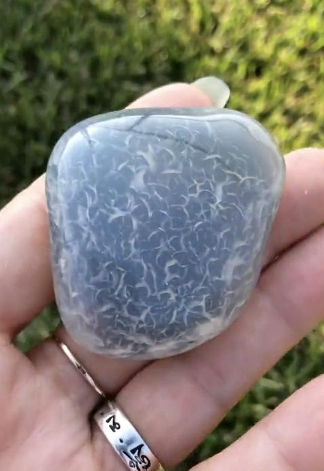 Dendritic Agate Palm Stone Crystal Dendrite Gemstone Dendrite Stone ...