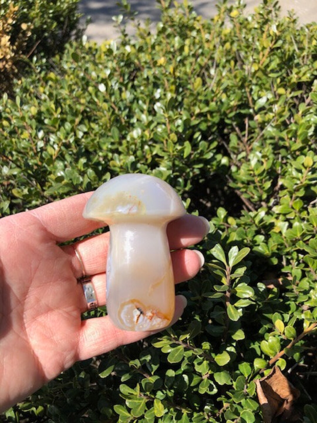 Dendritic Agate Mushroom Crystal Dendrite Gemstone Carved Dendrite ...