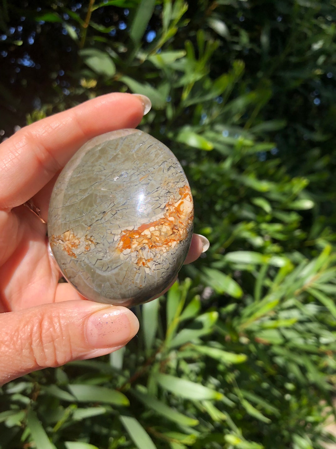 Ibis Jasper Palm Stone Polished Gemstone Pocket Stone From Madagascar ...
