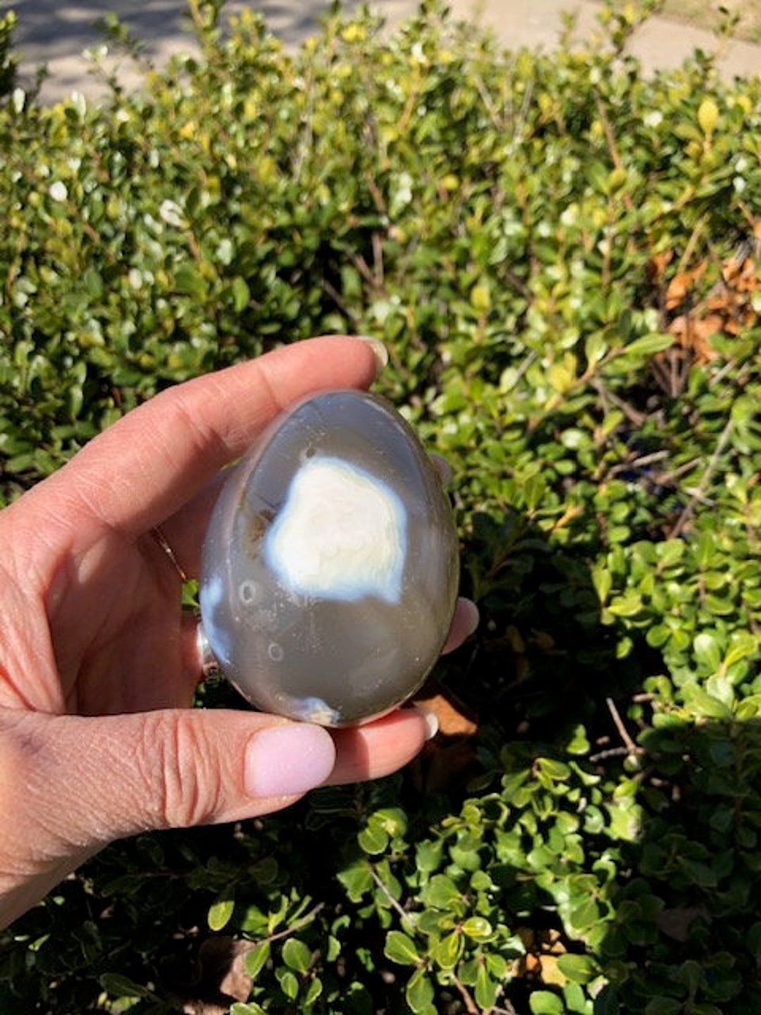 Natural Orca Agate Egg Polished Agate Crystal Ethically Sourced From ...