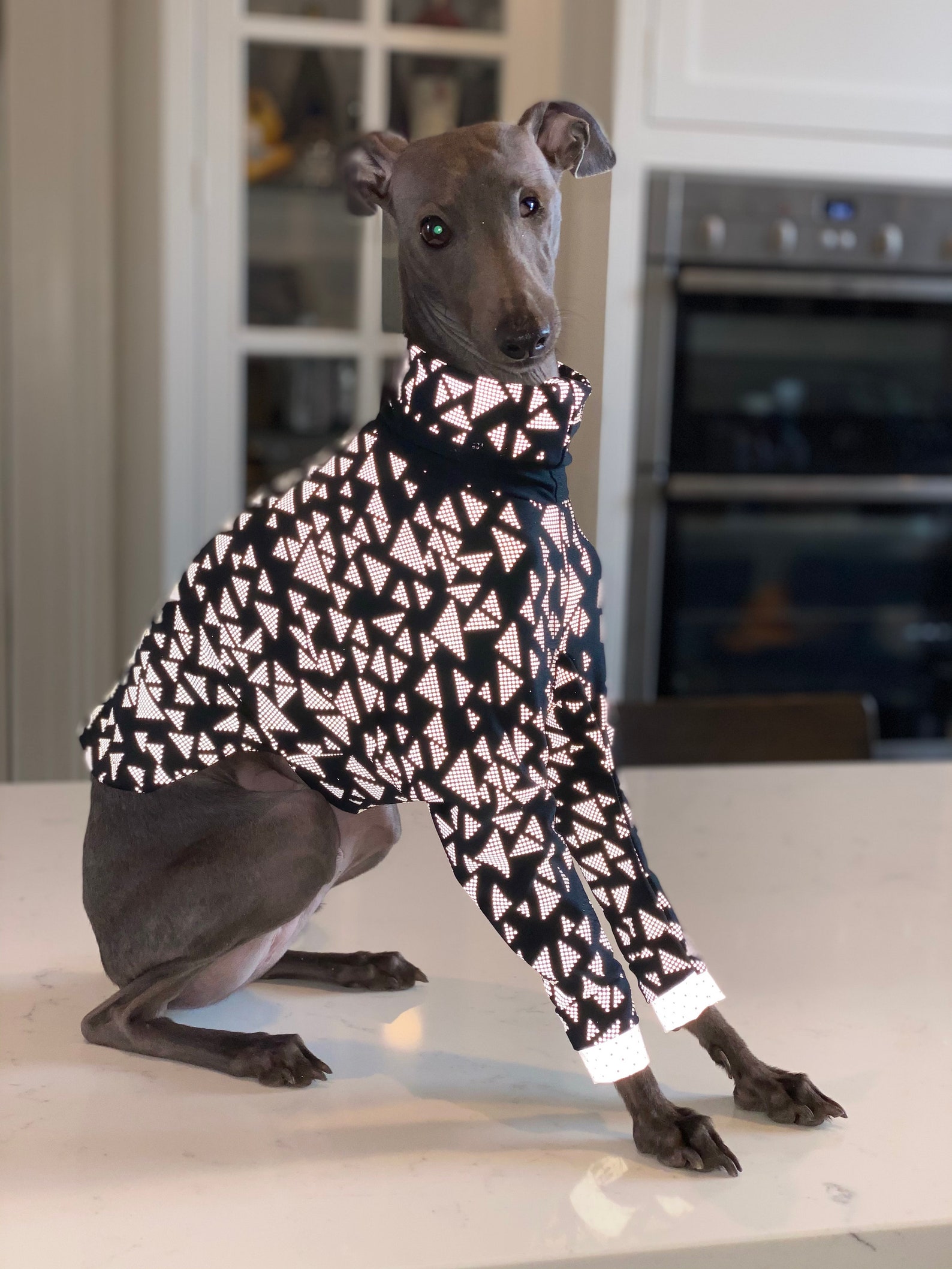 Glow in the Dark Italian Greyhound Turtleneck Top; Reflective Fabric ...