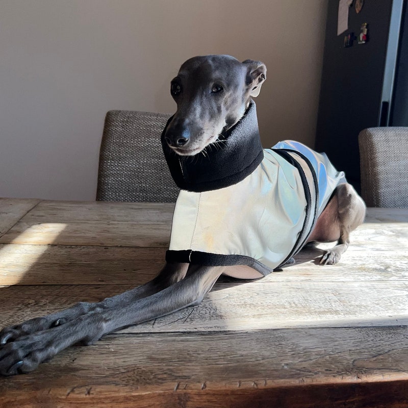 Reflective Shoes - Etsy