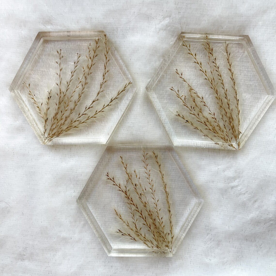 Resin Pampas Grass Hexagon Coasters sold in Sets of 2 3 or - Etsy