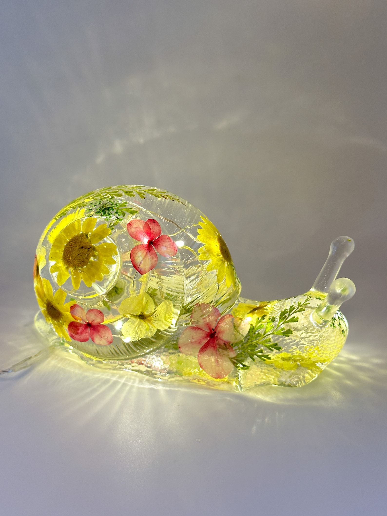 Custom Large Resin Snail (fairy Lights Available) - Etsy