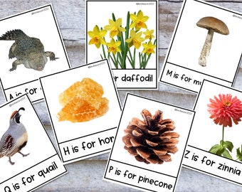 Alphabet Letters Nature - Etsy