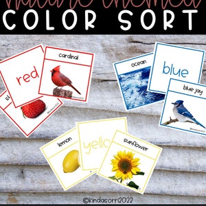 Montessori Color Sorting Cards, Color Sorting Cards, Color Sort, Learn ...