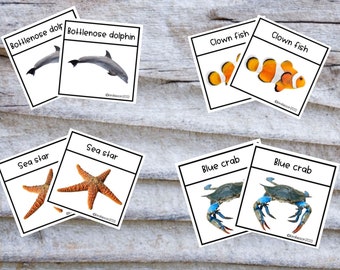 Montessori Sorting Cards Animals - Etsy