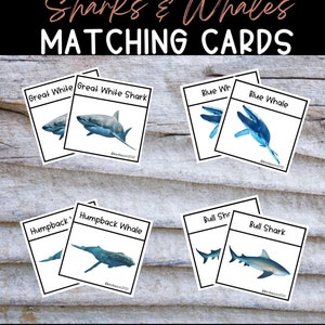 Montessori Ocean Shark & Whale Matching Cards, Ocean Animal Match ...