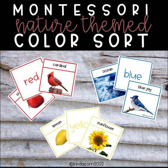 Montessori Color Sorting Cards Color Sorting Cards Color - Etsy