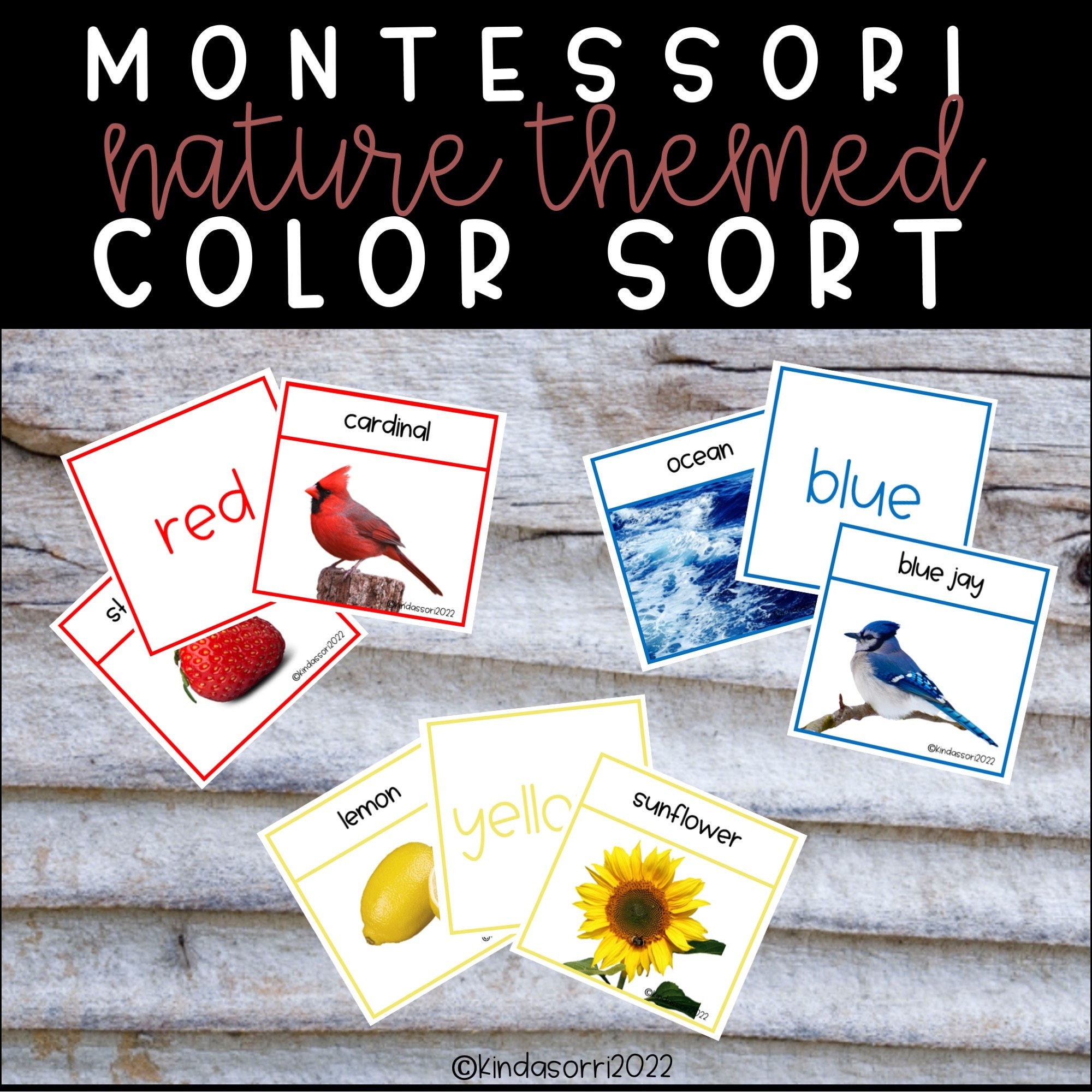 Montessori Color Sorting Cards, Color Sorting Cards, Color Sort, Learn ...