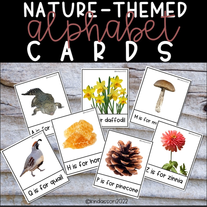Nature Alphabet Cards, Alphabet Cards, Nature ABC Cards, Letter ...