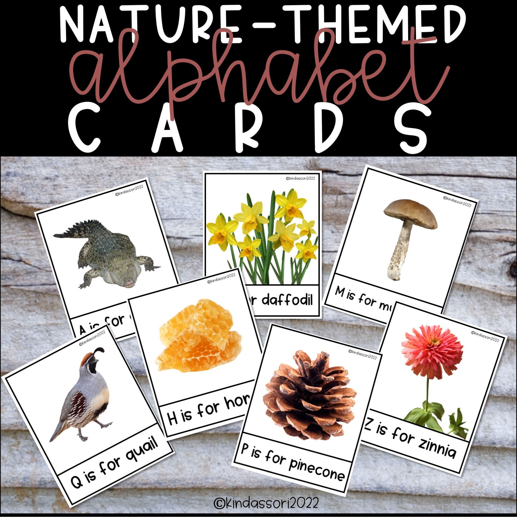 Nature Alphabet Cards, Alphabet Cards, Nature ABC Cards, Letter ...