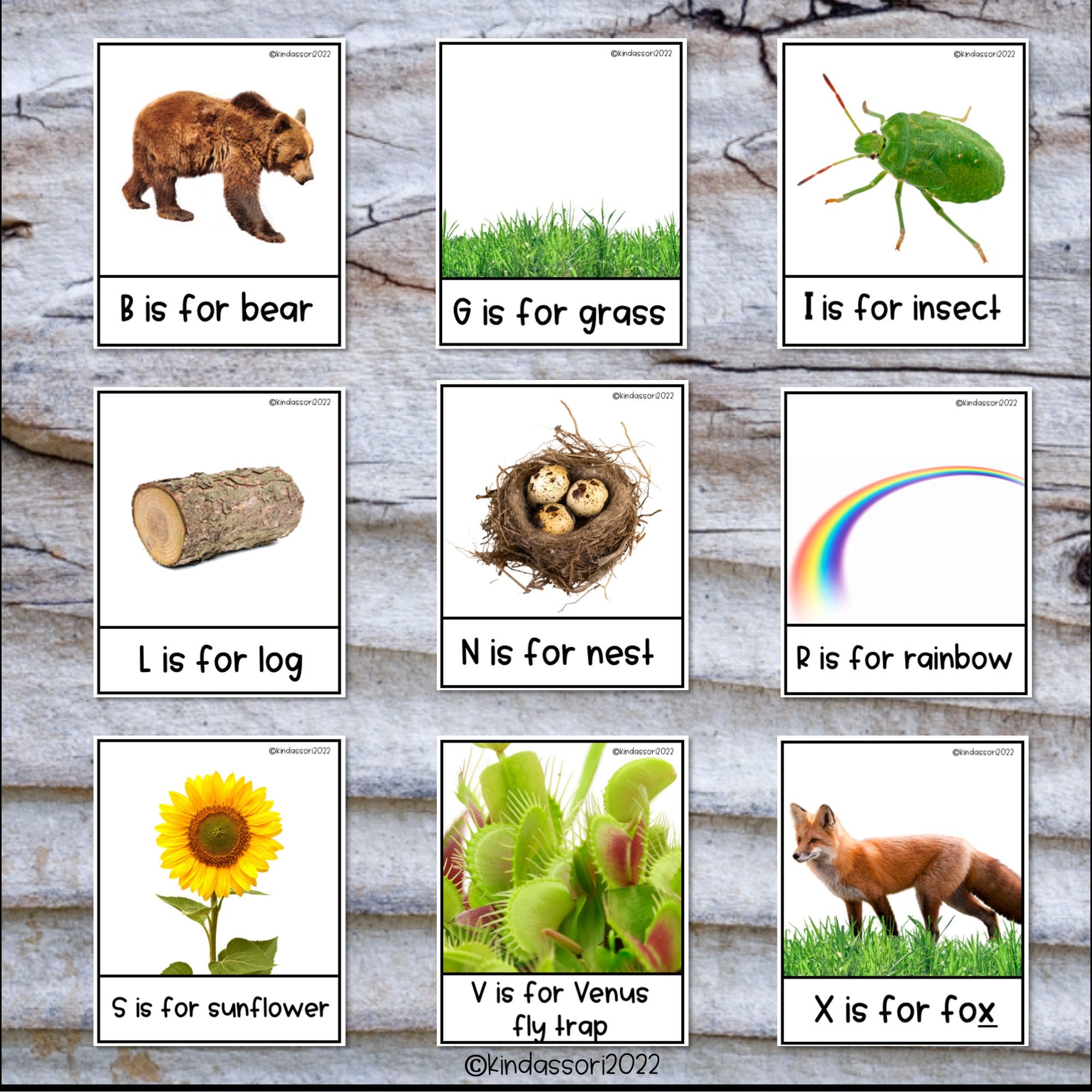 Nature Alphabet Cards, Alphabet Cards, Nature ABC Cards, Letter ...