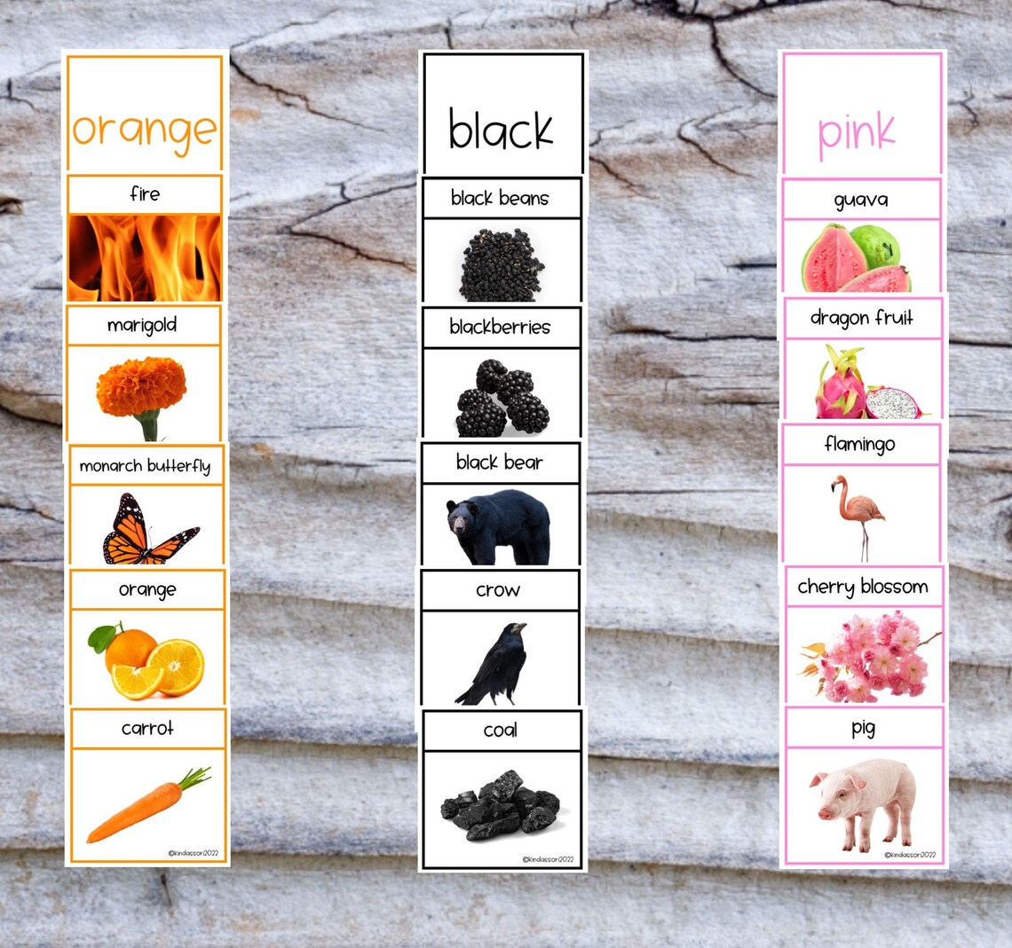 Montessori Color Sorting Cards, Color Sorting Cards, Color Sort, Learn ...