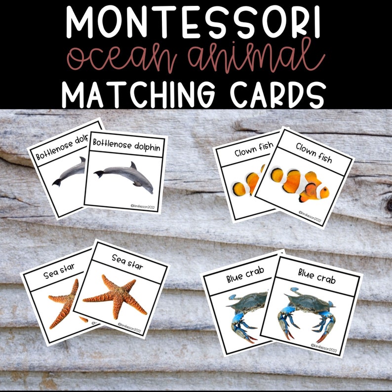 Montessori Ocean Animal Cards, Montessori Matching Game, Flash Cards ...