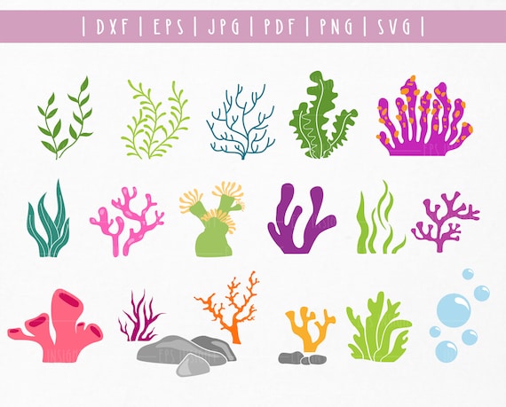 Nautical Ocean Life Svg. Under Water Coral Reef Svg. Seaweed - Etsy UK