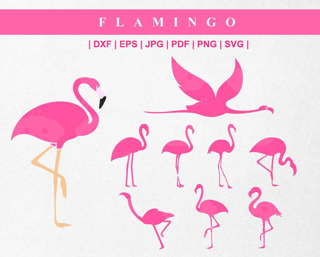Flamingo Svg. Flamingo Svg Bundle. Pink Flamingo Svg. Flamingo Clipart ...