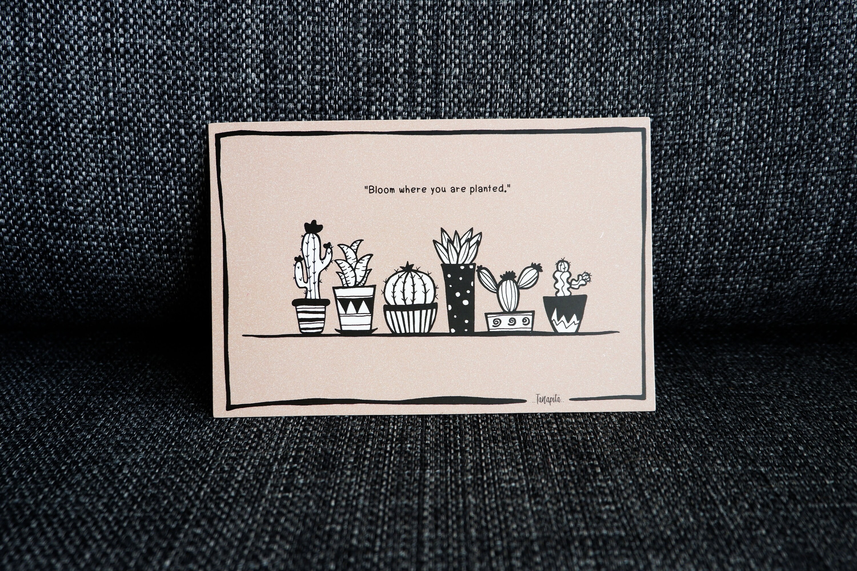 CUTEST POSTCARD SET - Etsy