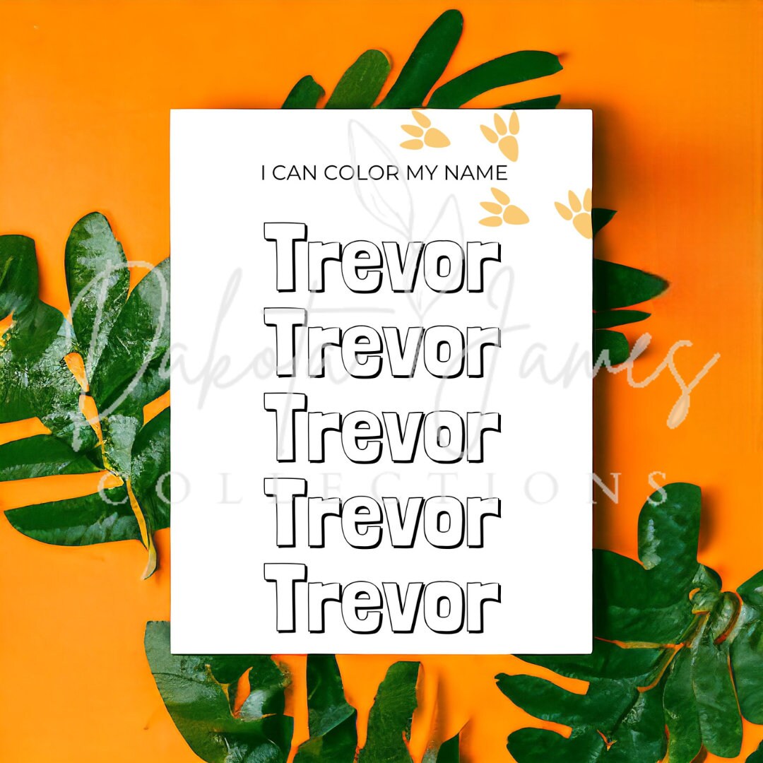 CUSTOMIZABLE Preschool Name Tracing Worksheets, Name Activity Sheets ...