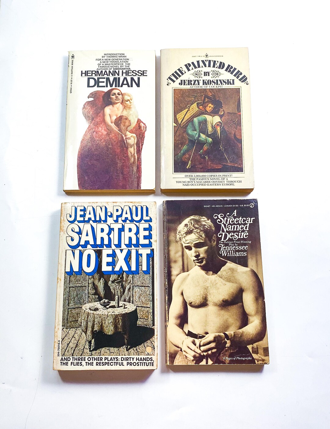 Demian Hermann Hesse the Painted Bird Kosinski No Exit Sartre Streetcar ...