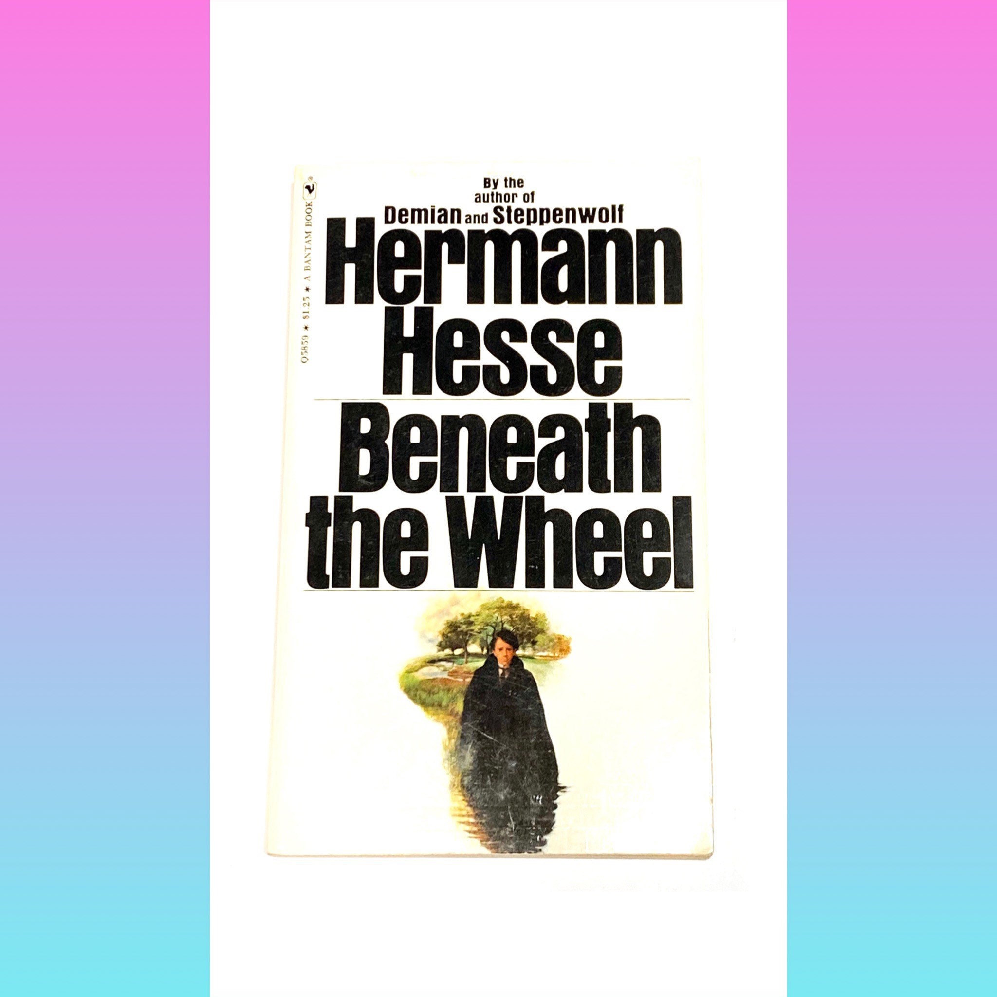 Herman Hesse Beneath the Wheel Paperback Vintage Book | Etsy