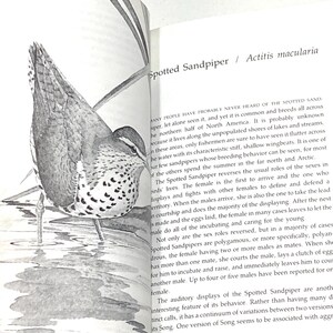 Guide to Bird Behavior - Stokes Nature Guide - Vol II - Bird Reference Book - Vintage Paperback ...