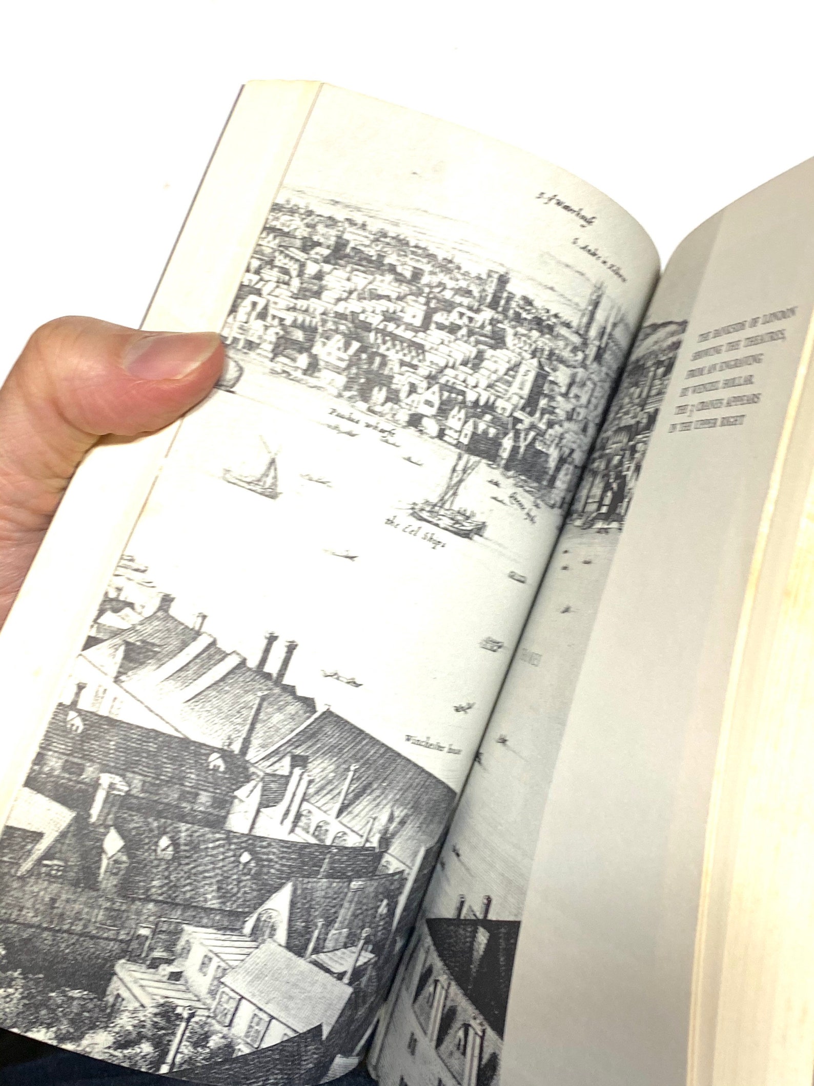 Elizabeth the Great Elizabeth Jenkins Vintage Paperback - Etsy