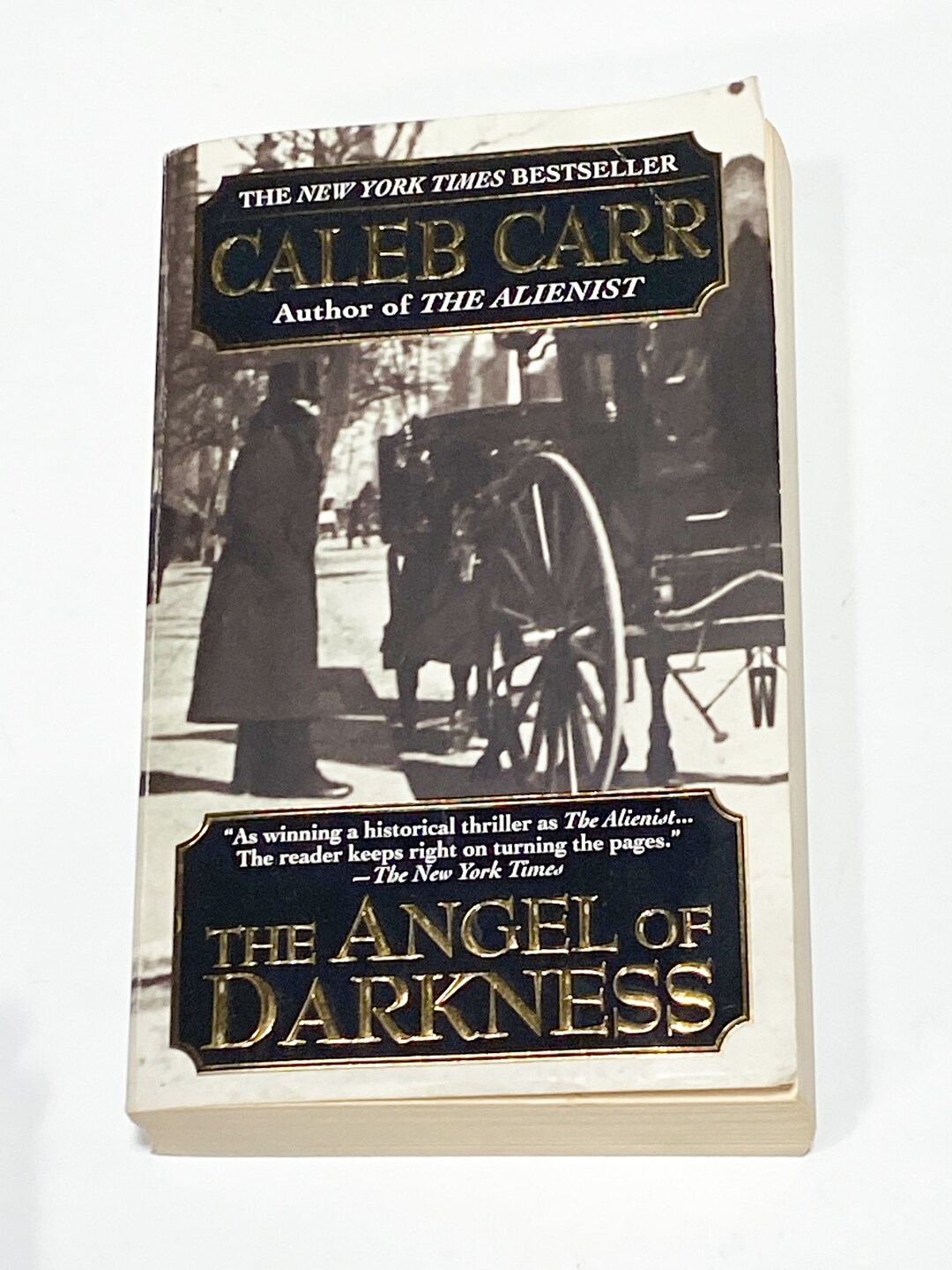 The Angel of Darkness Caleb Carr Classic Literature Vintage Paperback ...