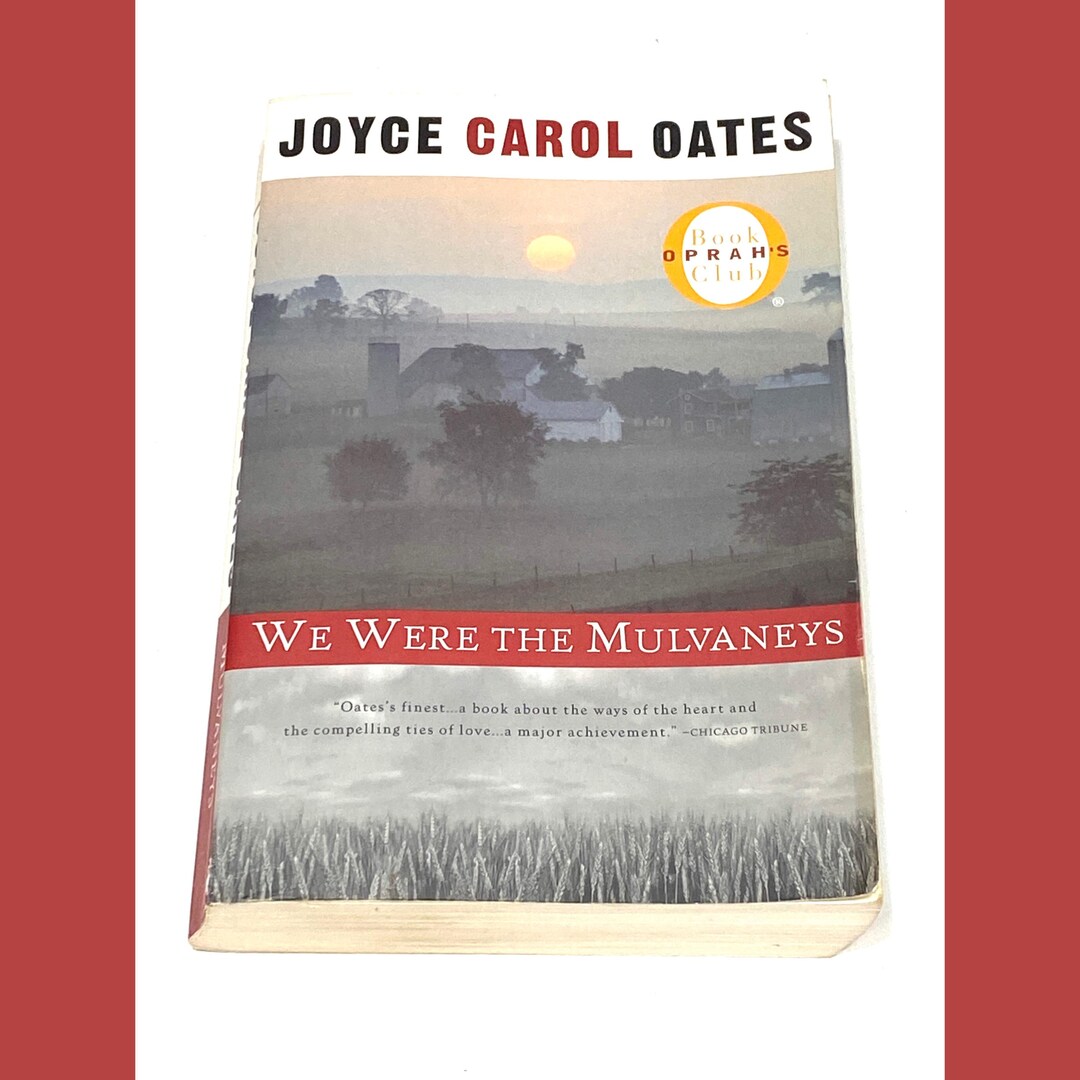 We Were the Mulvaneys Book - Vintage Midwestern Family Novel, Pre-owned ...