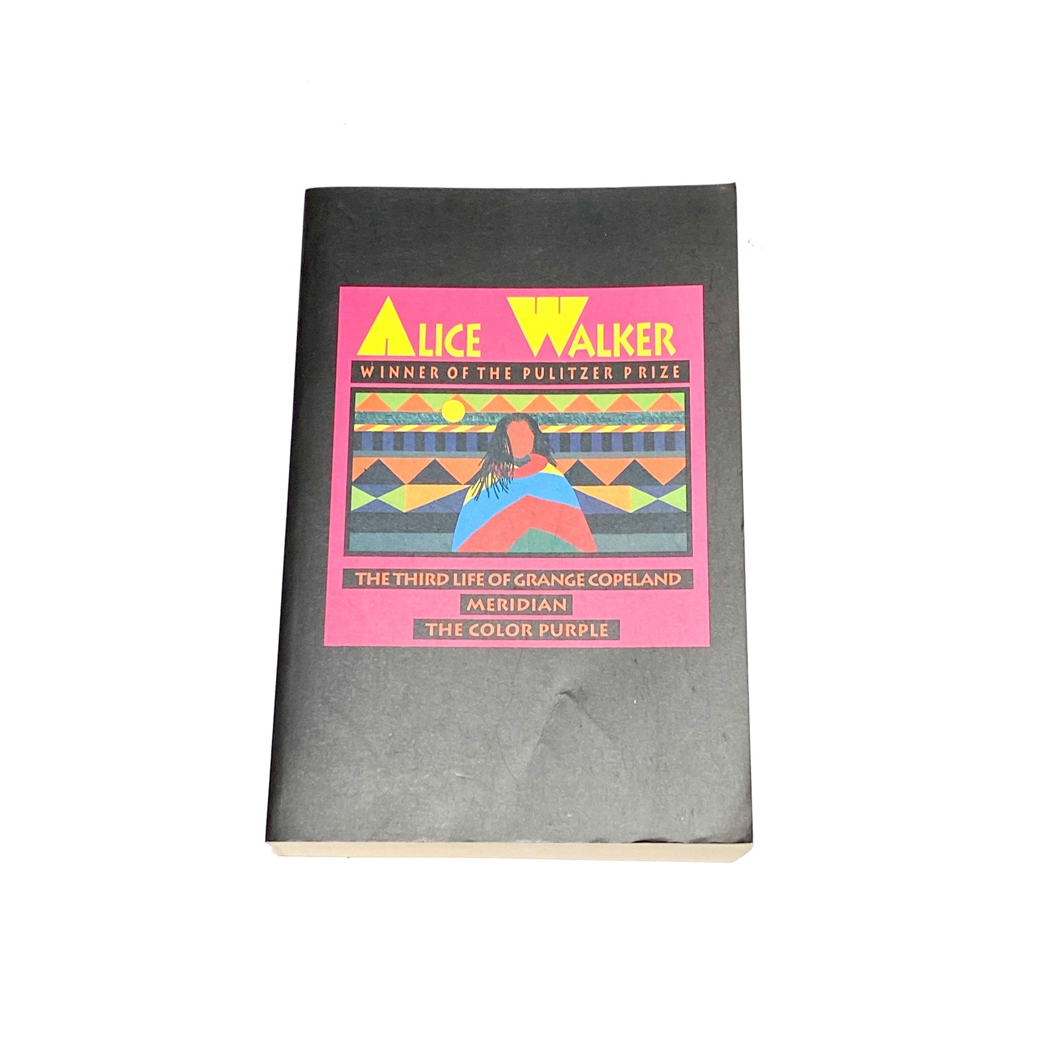 Meridian Alice Walker