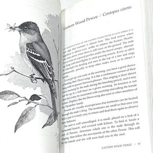 Guide to Bird Behavior - Stokes Nature Guide - Vol II - Bird Reference Book - Vintage Paperback ...