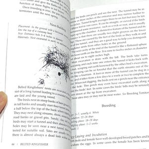 Guide to Bird Behavior - Stokes Nature Guide - Vol II - Bird Reference Book - Vintage Paperback ...