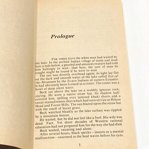 The Visitor - Jere Cunningham - RARE Vintage Horror Paperback - Mystery ...